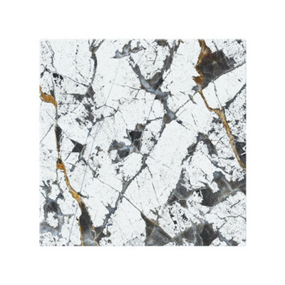 Black & Gold Marble Splash Back designer style
