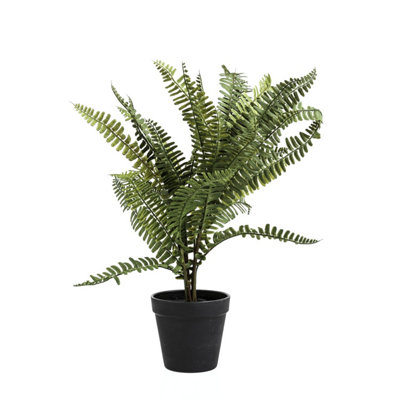 Black Potted Fern Artificial Plant - Plastic - L35 x W35 x H44 cm ...