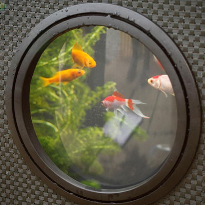 Blagdon Affinity View Octagon Pool