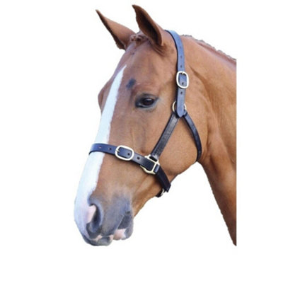 Blenheim Leather Adjustable Horse Headcollar Black (X Full) | DIY at B&Q