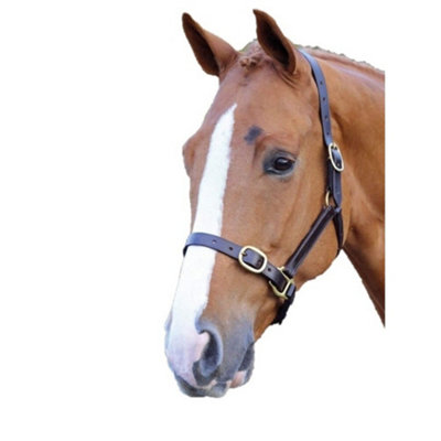 Blenheim Leather Adjustable Horse Headcollar Havana (Cob)