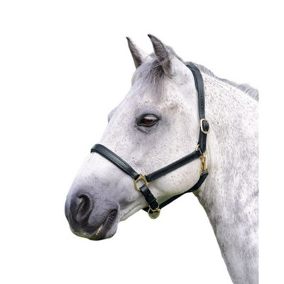 Blenheim Ragley Leather Horse Headcollar Black (Cob)