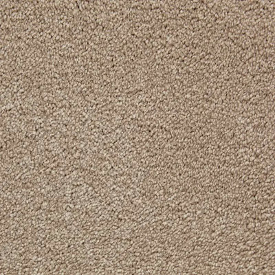 Buy Bliss Luxury Deep Pile Bleach Cleanable Carpet by Remland (Warm ...