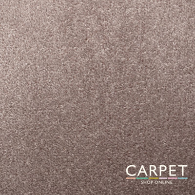 Blithe Twist Almond Brown Carpet Action Back 6m x 4m