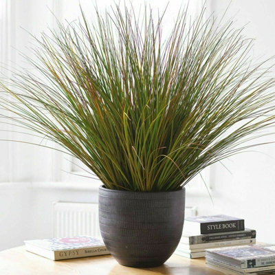 Buy Bloom Artificial Ornamental Potted Grass - Faux Fake Realistic ...