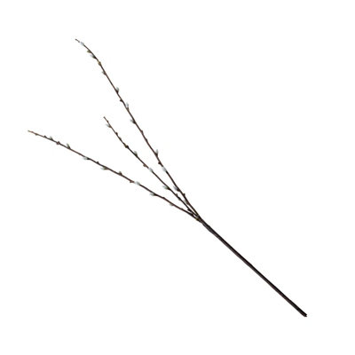 Bloom Artificial Single Willow Stem - Faux Fake Realistic Flower ...