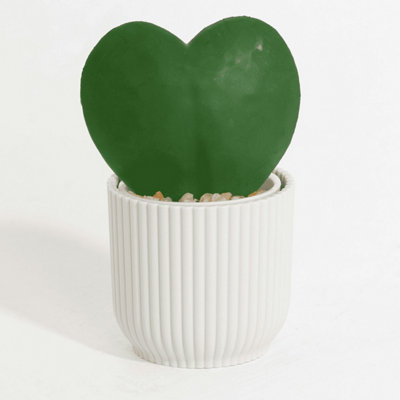 Blooming Artificial - 11cm / 0.25ft White Artificial Hoya Heart Succulent