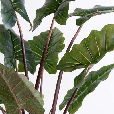 Buy Blooming Artificial - 140cm / 4.5ft Faux Elephant Ear at B&Q