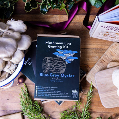 Blue-Grey Oyster Mushroom Log Growing Kit