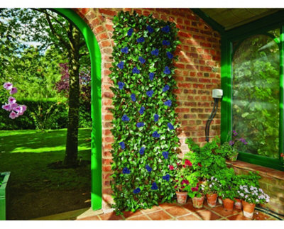 Blue Ipomoea Single Trellis 1.2m x 1.8m | DIY at B&Q