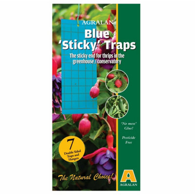 Blue Sticky Traps for Thrips - 7 Pack | DIY at B&Q