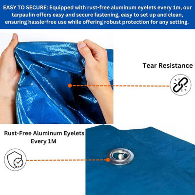 Blue Tarpaulin Sheet 50GSM Lightweight Tarp + 10 Bungee Balls Garden ...