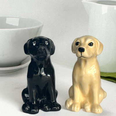 Border Collie novelty Salt and Pepper ceramic shaker set Dog lover gift box