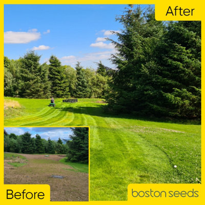 Boston Seeds BS Economy Grass Seed (1 x 20kg)