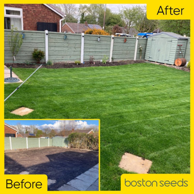 Boston Seeds BS Economy Grass Seed (1 x 20kg)