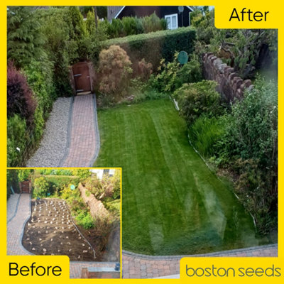 Boston Seeds BS Economy Grass Seed (1 x 20kg)