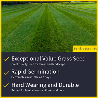 Boston Seeds BS Economy Grass Seed (1 x 20kg)