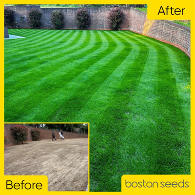 Boston Seeds BS Premier Lawn Grass Seed (1 x 20kg)
