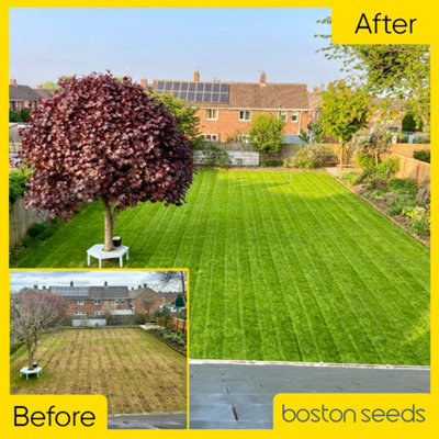Boston Seeds BS Premier Lawn Grass Seed (1 x 20kg)