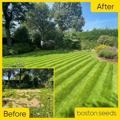 Boston Seeds BS Premier Lawn Grass Seed (1 x 2kg)