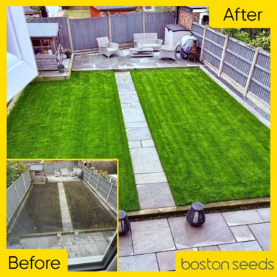 Boston Seeds BS Premier Lawn Grass Seed (1 x 2kg)