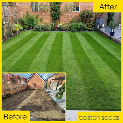 Boston Seeds BS Premier Lawn Grass Seed (1 x 5kg)