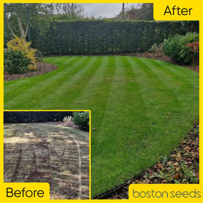 Boston Seeds BS Premier Lawn Grass Seed (1 x 5kg)