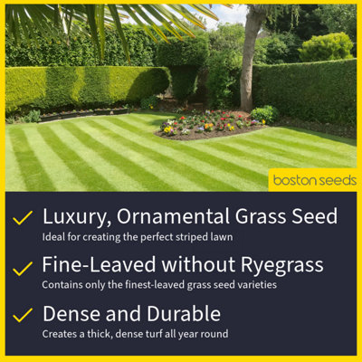 Boston Seeds BS Quality Fine Lawn Seed (1 x 10kg)