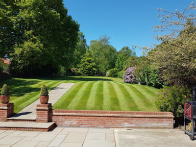 Boston Seeds BS Quality Fine Lawn Seed (1 x 2kg)