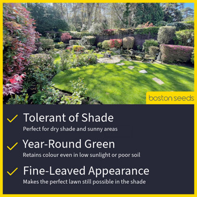 Boston Seeds BS Shady Place Grass Seed (1 x 10kg)