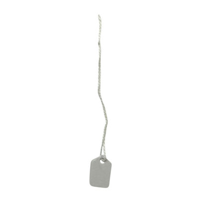 Box of 1000 White Merchandise Tags 24mm x 16mm