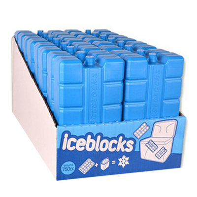 Box of 16 Extra Large Size Ice Packs | DIY at B&Q