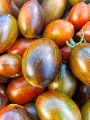 Brad's Atomic Grape Tomato Seeds - 15 Fresh Seeds
