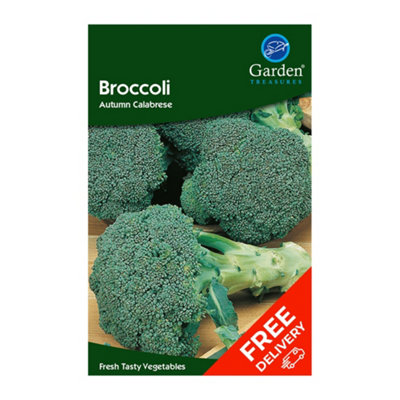 Broccoli Aut Calabrese (Brassica oleracea va.cymosa) | DIY at B&Q