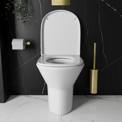 Bubly Bathrooms™ Back To Wall Toilet Rimless D Shape BTW Pan & Side ...