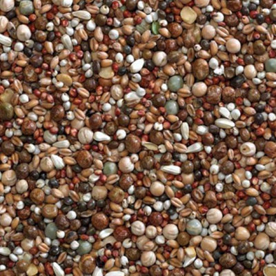 Bucktons Young Bird Seed Mix 20kg | DIY at B&Q