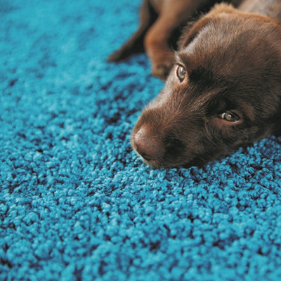 Buddy Teal Washable Plain Rug By Origins-67 X 300cm (Runner)