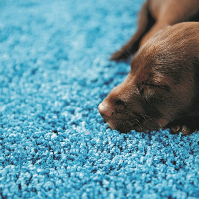 Buddy Teal Washable Plain Rug By Origins-67 X 300cm (Runner)