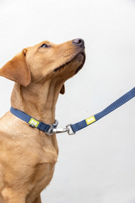 BUILT PET Medium Double Handled NightSafe Reflective Lead - Blue