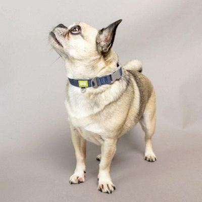 BUILT PETS REFLECTIVE COLLAR SMALL BLUE