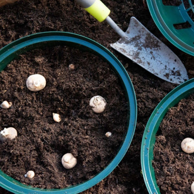 BULB PLANTING BASKETS X 20 - EASY TO USE - DURABLE