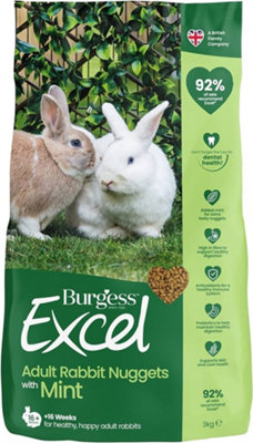 Burgess Excel Adult Rabbit Mint 3kg