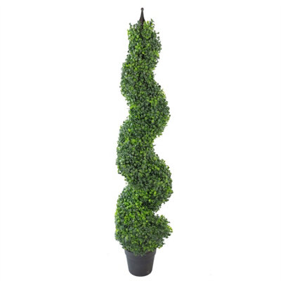Buxus Boxwood Spiral Trees 120cm Buxus Spiral Single 120cm Plants