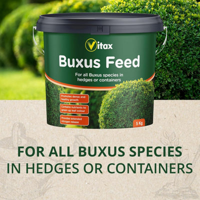 Buxus Feed Fertiliser for Box Hedges and Containers, Promotes Dense ...