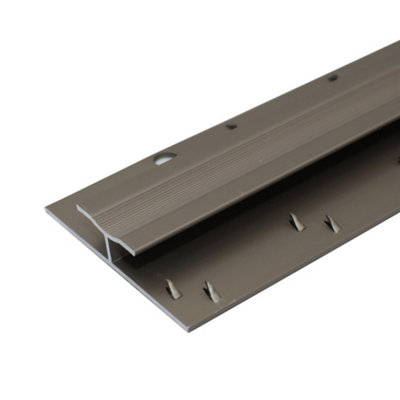 C61 20mm Anodised Aluminium Dual Edge Carpet Profile - Champagne, 1.0m