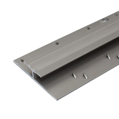 C61 20mm Anodised Aluminium Dual Edge Carpet Profile - Inox, 1.0m | DIY ...