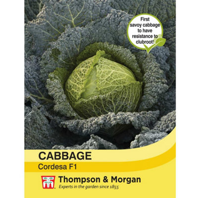 Cabbage Savoy Cordesa F1 Hybrid 1 Seed Packet (10 Seeds) | DIY at B&Q