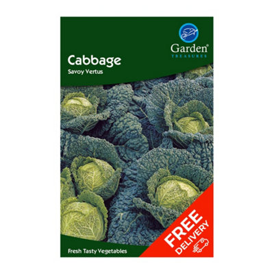 Cabbage Savoy Vertus (Brassica oleraces)