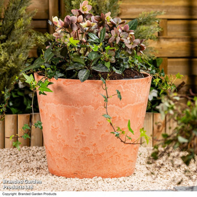 Caesar 50cm Planter Marble Terracotta x 2