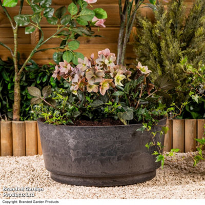 Shop Caesar Bowl 34.5cm Marble Charcoal x 2